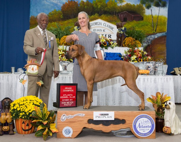 Rhodesian Ridgeback Breeders | New Grand Champion | MillaBella ...