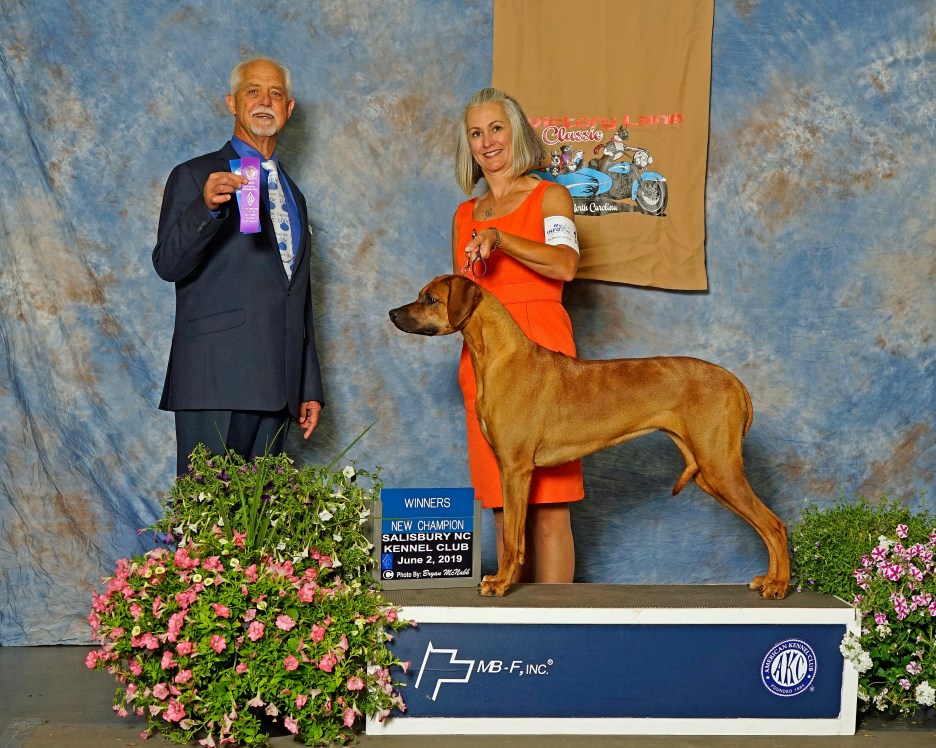 Latest News | MillaBella Rhodesian Ridgebacks | Rhodesian Ridgeback ...